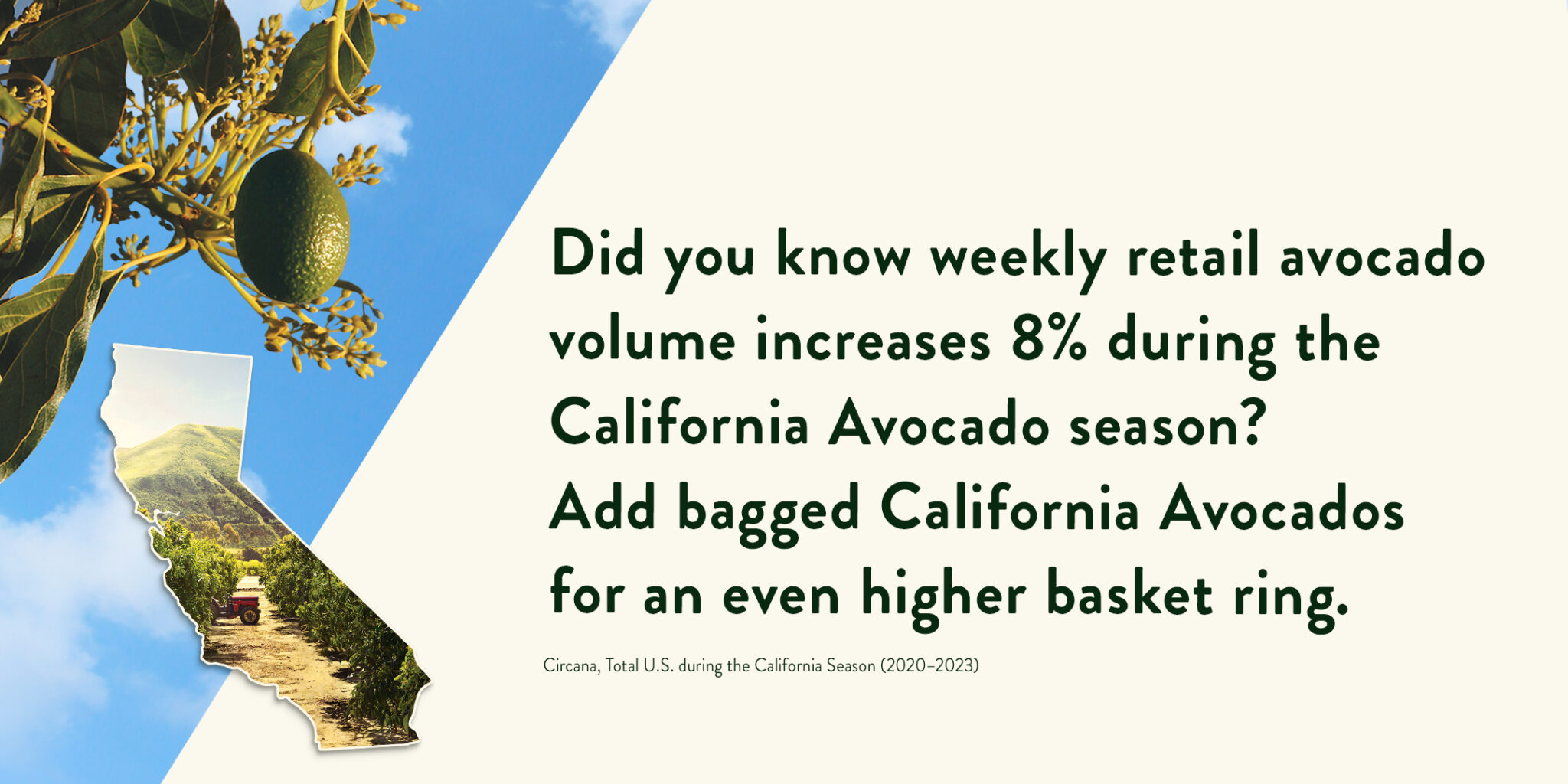 Retail - California Avocados