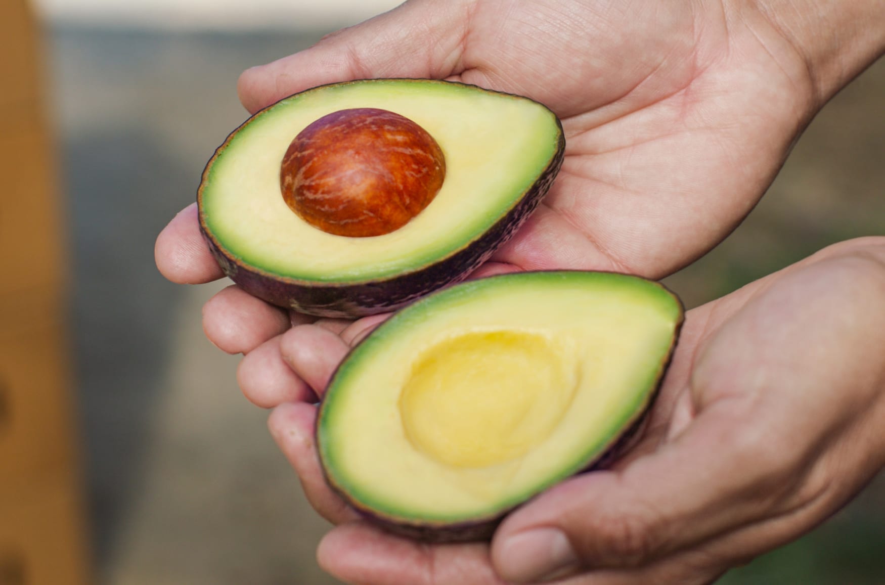 What’s Inside a California Avocado? - California Avocados
