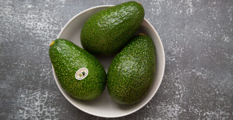 Discover the Gem Avocado - California Avocados